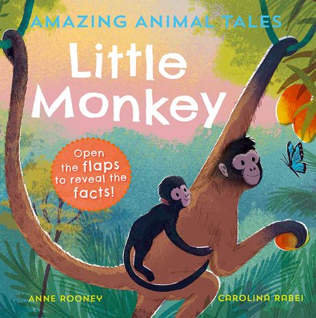 Amazing Animal Tales Picture Books - Little Monkey (Paperback) by Anne ...