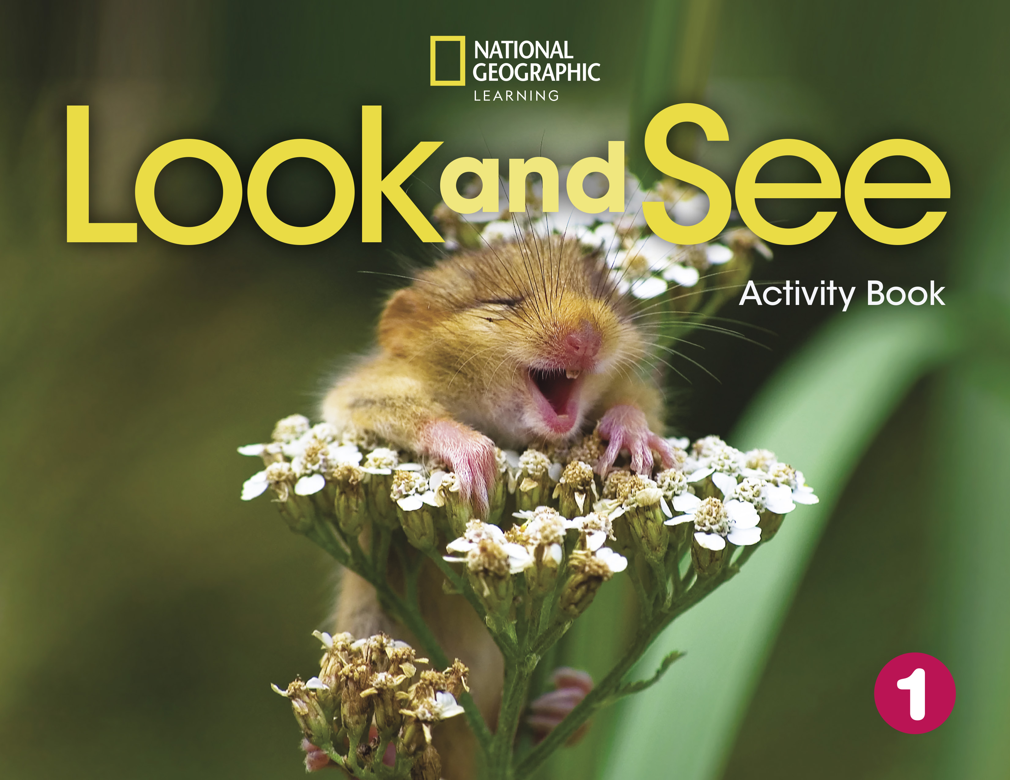 Look and See - Activity Book (Book 1) by Susannah Reed on ELTBOOKS - 20 ...