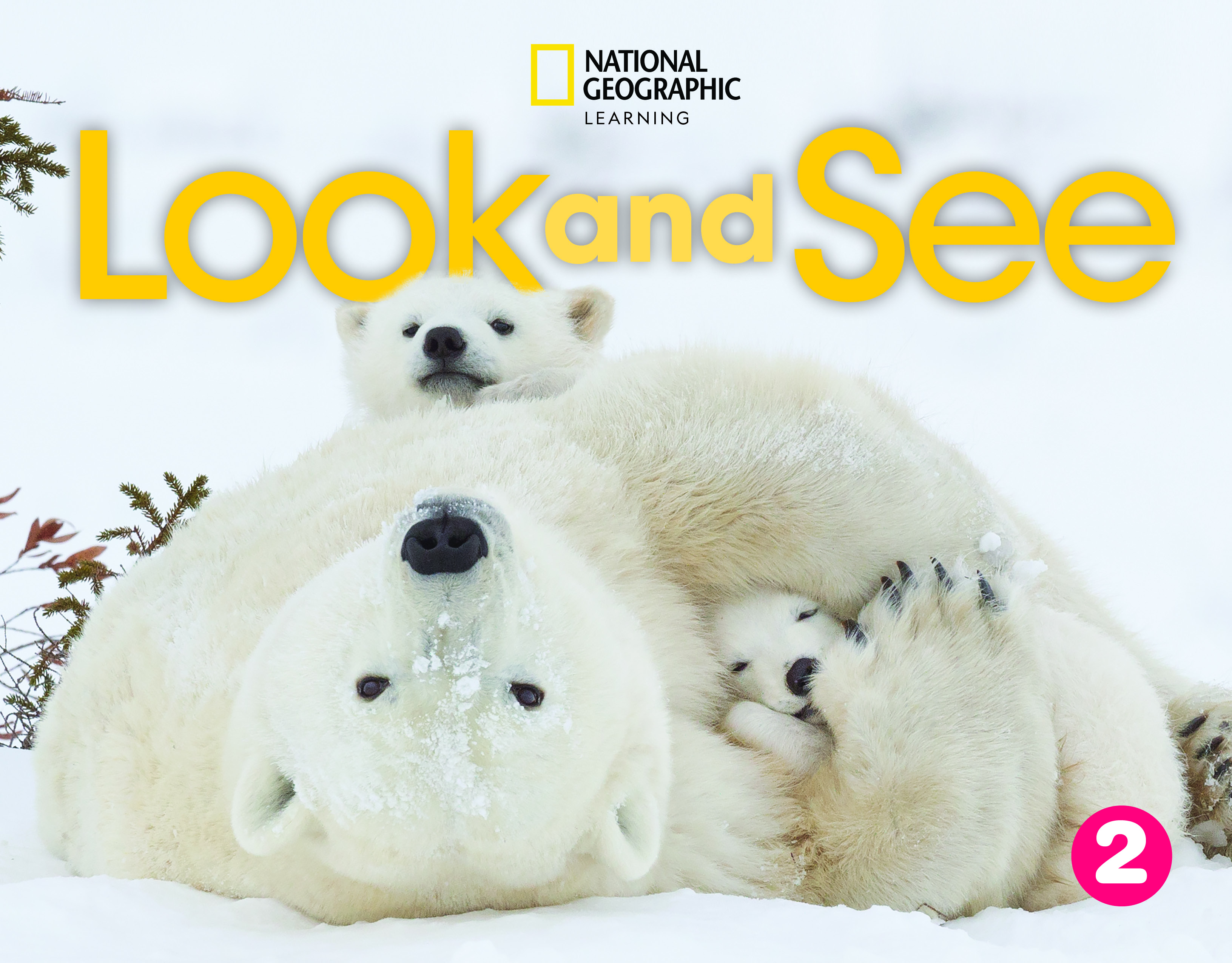 Look and See - Student Book with Online Practice + e-Book (1 year ...